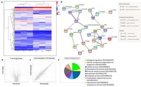Functional Categorization Of Differentially Expressed Genes In Download Scientific Diagram