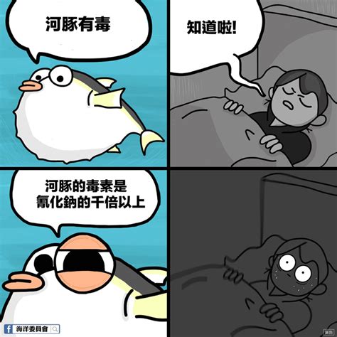海洋委員會 珍愛生命 遠離河豚 日前發生的河豚中毒案，經過調查，兇手確定就是 月尾兔頭魨