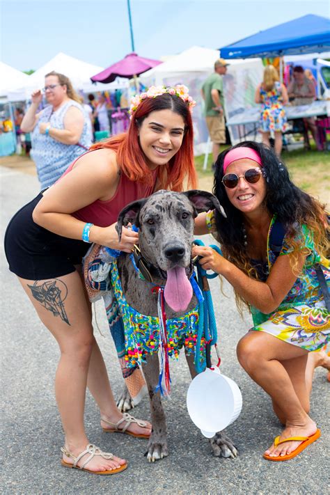 Peace Love And Hippies Festival 2019 My City Magazine
