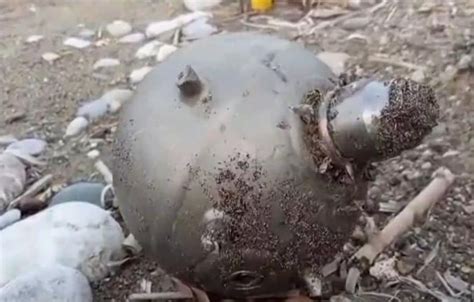 Explosive Mine Washes Ashore In Rhodes