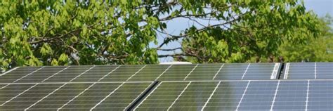 Do Solar Panels Work Under Trees The Answer May Suprise You