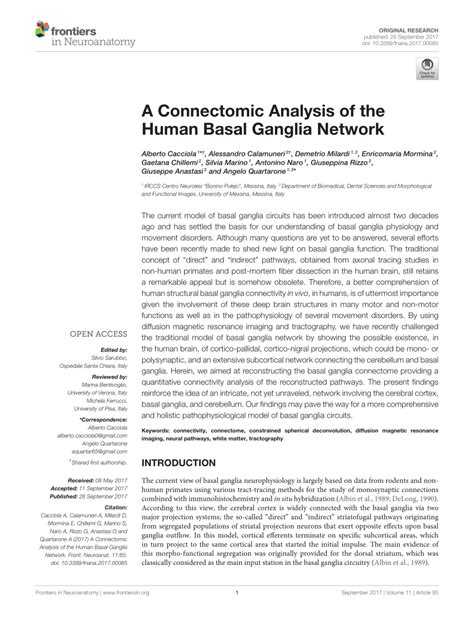Pdf A Connectomic Analysis Of The Human Basal Ganglia Network