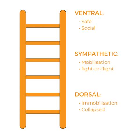 Polyvagal Theory Rising Tides Counselling