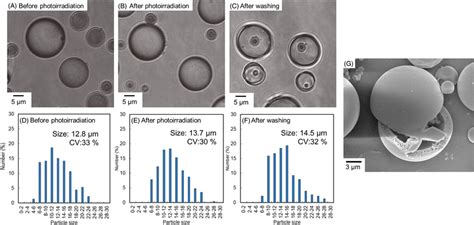Ac Optical Micrographs And Df Particle Size Distributions Of