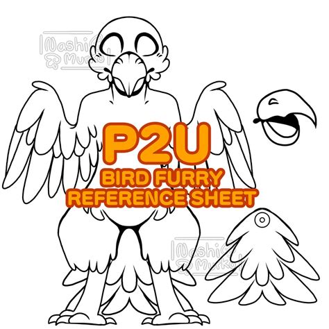 Bird Fursona Reference Sheet Base Furry Line Art And Base Etsy