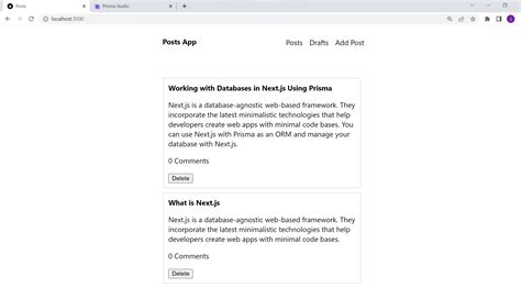 working with databases in next js using prisma