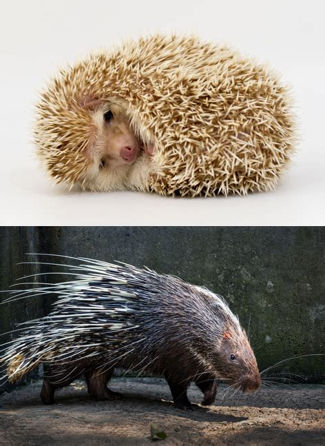 [이성주의 건강편지]함께 살기 Vs 혼자 살기··· 현명한 길은