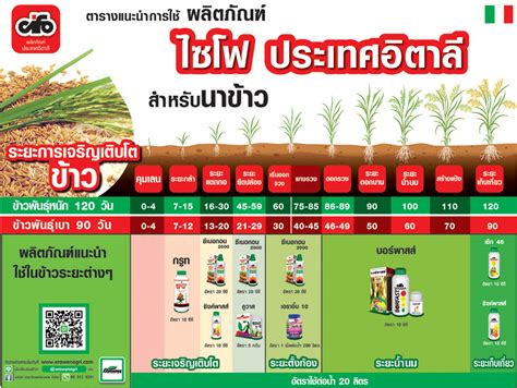 🌳🌾🌾ตารางแนะนำ บริษัท เอราวัณเคมีเกษตร จำกัด
