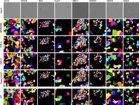 Figure 3 From Point Supervised Single Cell Segmentation Via