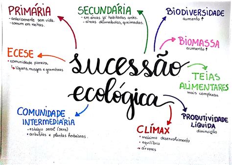 Ecologia Mapa Mental Mundo Ecologia
