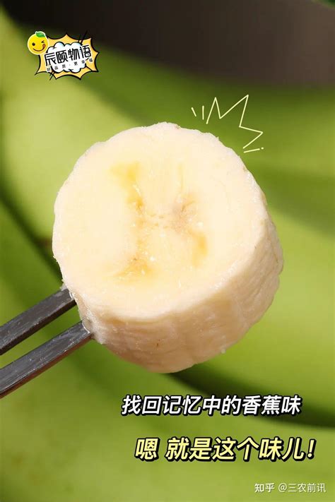 辰颐物语云南威尼斯香蕉绿皮香蕉自然熟更香甜 知乎