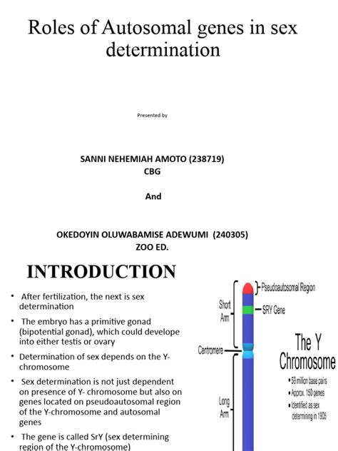 Roles Of Auto Genes In Sex Determination Download Free Pdf