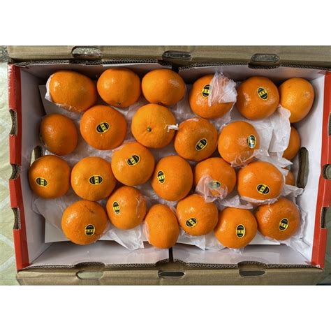 Jual Jeruk Mandarin Wokam Wogan Manis Fresh Import 1 Dus Shopee Indonesia