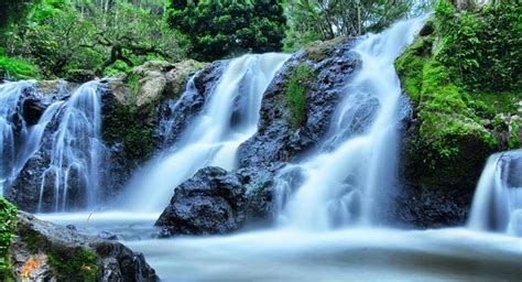 8 Hal Yang Harus Dilakukan Pendaki Agar Sumber Air Di Gunung Tetap Lestari