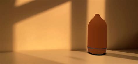 Appellation Oil Diffuser View In Augmented Reality