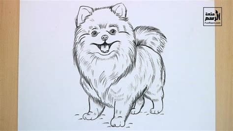 تعلم كيفية رسم كلب كيوت بطريقة سهلة جدا دروس متعة الرسم Fun Rasm