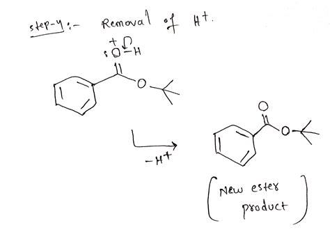 Solved Organic Chemistry II Sessler CH320N Homework Problem Set 7