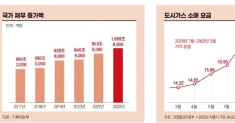 전기·가스료 연금‘님트not In My Term 그늘이 짙고 넓다 홍영식의 정치판