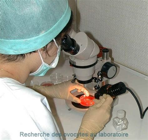Accueil Dr KARA ZAITRI M A Gynécologue Obstétricien