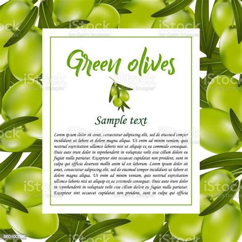 레이블 스티커 또는 현실적인 녹색 올리브와 배경 3d 일러스트 벡터 과일에 대한 스톡 벡터 아트 및 기타 이미지 과일 그리스 나무 Istock