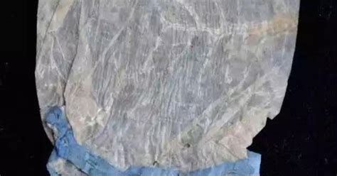 Worlds Oldest Condom Auctioned For £462