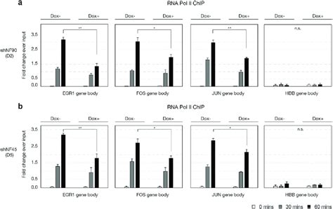 Reduced Nf90nf110 Or Nf45 Expression Attenuated Inducible