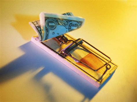 Обои для компьютера смешные Основной цвет обоев Одуванчиковый