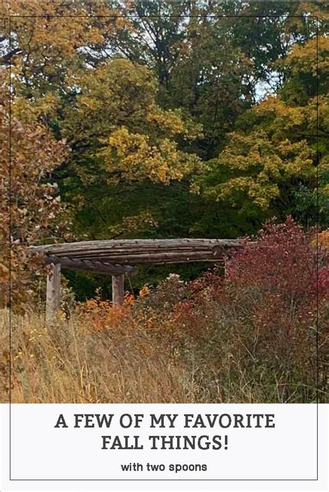 A Few Of My Favorite Fall Things 1 With Two Spoons