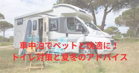 車中泊でペットと快適に！トイレ対策と夏冬のアドバイス