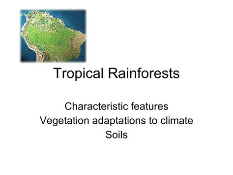 Tropical Rainforests Intro Ppt