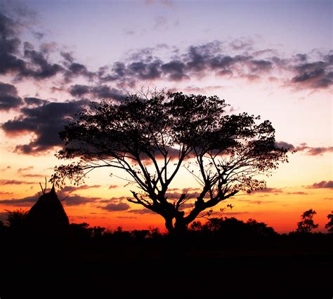 Free Images Landscape Tree Nature Outdoor Horizon Branch