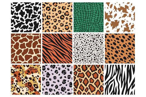 Mammals Pictures To Print