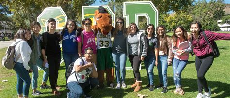 International College Of Professional And Global Education Cpp