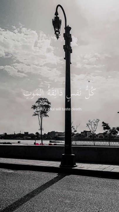 قرآن كريم يا عبادي الذين امنو ان ارضي واسعه فإياي فاعبدون القارئ عبد