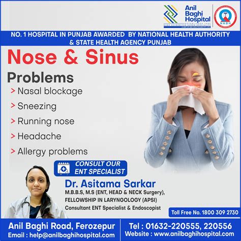 Symptoms Of Nose And Synus Problems Anil Baghi Hospital