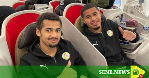 Qatar Dix Lions manquent à lappel