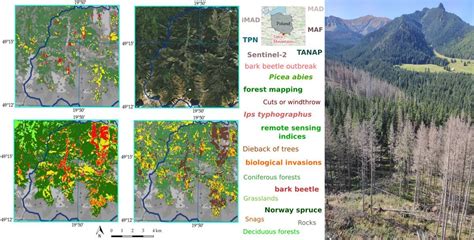 Remote Sensing Mdpi On Linkedin Remotesensing Sentinel2