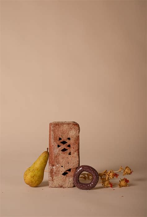 Fossil Wall Hook Set Of 5 Architonic