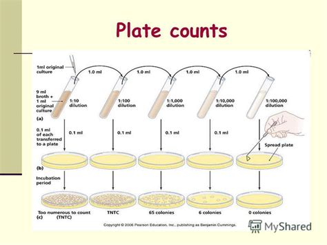 What Is Spiral Plate Count Method At Olivia Quinn Blog