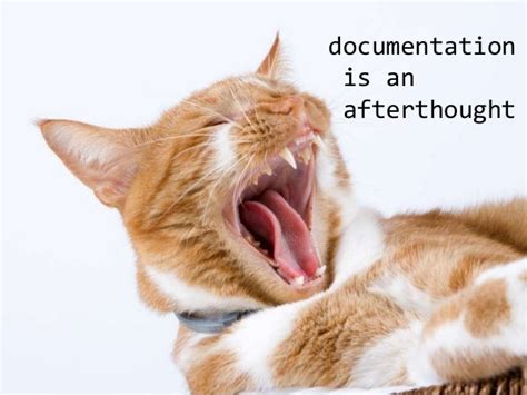 Documenting Apis With Cats