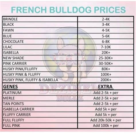 The Ultimate French Bulldog Price Guide 2023 Update