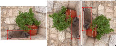 Python How To Rotate A Rectangle Bounding Box Together With An Image Stack Overflow