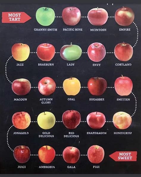 Apples Most Tart To Most Sweet Apple Varieties Apple Chart Fruit