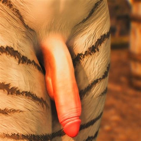 Feminine Khajiit Textures For Erf Futanari Cbbe Sse Adult Mods
