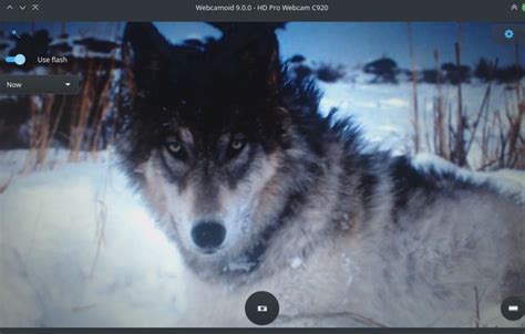 Webcam Toy Alternatives And Similar Sites Apps AlternativeTo