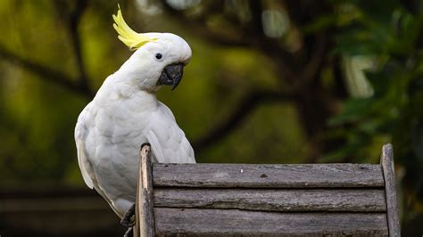 Uinta Triangle Archives Ksl Podcasts