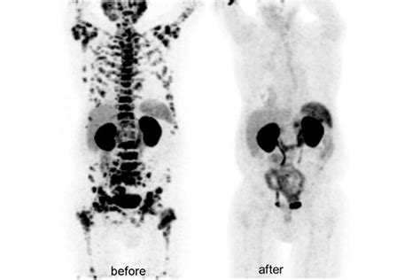 Nuclear Data Science Highlights Nuclear Science Division