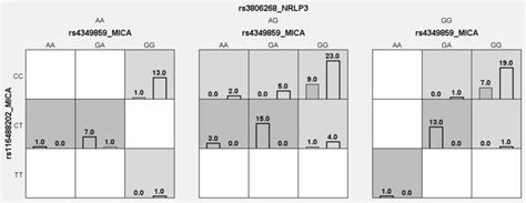 The Best Three Locus Multifactor Dimensionality Reduction Mdr Model Download Scientific