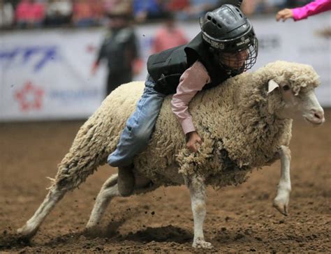 San Angelo Rodeos Mutton Bustin Sign Ups Now Open