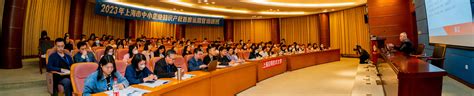 中欧知识产权学院sesip